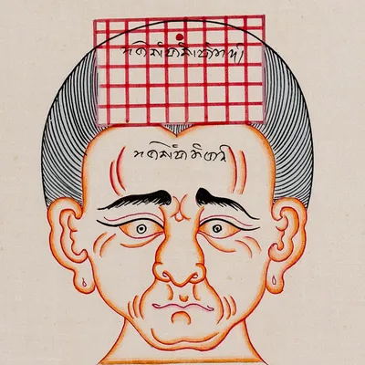 THE TIBETAN ANATOMICAL CHART THANGKA | Boudha Stupa Thanka